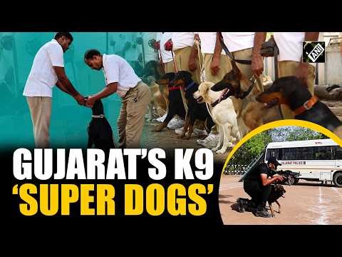 Gujarat Police K9 Unit Becomes More Lethal: ‘Super Dogs’ Against Terror & Drugs
