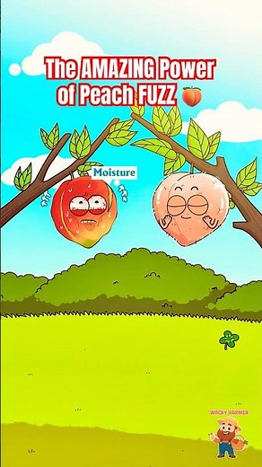 The AMAZING Power of Peach FUZZ: Nature's Tiny ARMOR! 🍑#peach #animation