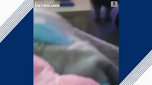 Anxious pup can hardly wait for toy to be fixed