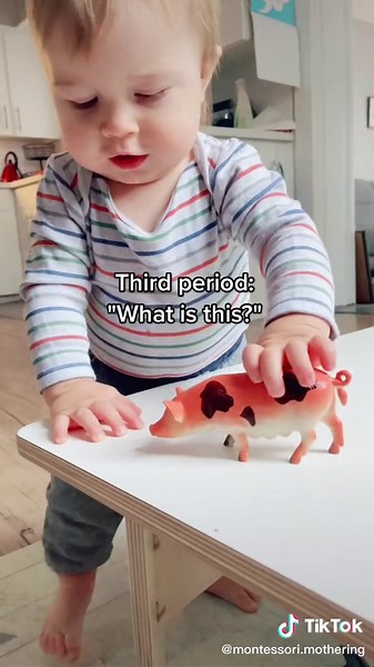 Teaching Baby First Words: A Montessori Approach