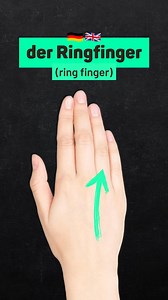 Parts of the Hand in German #germanlessons #learngermanfast #lernedeutsch #germany #germanvocabulary #germanpronunciation #learnwithtiktok #edutok #studygerman #germateacher #deutschewörter #deutschkurs #deutschlernen #takemyhand #ha | German.basics
