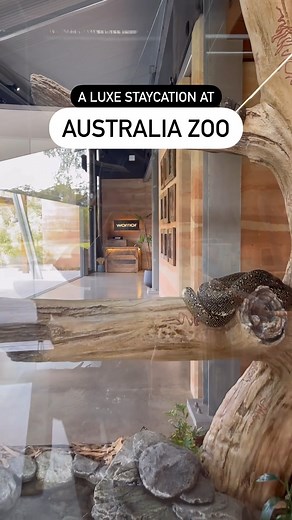 68K views · 145 reactions | Australia Zoo's The Crocodile Hunter Lodge just added four luxe new three-bedroom cabins to their accommodation options, where you can retreat to after a busy day at the zoo and a top-notch meal at Warrior Restaurant  Book yourself a staycay and be sure to say hello to the resident kangaroos from that infinity pool  | Urban List Brisbane | Facebook