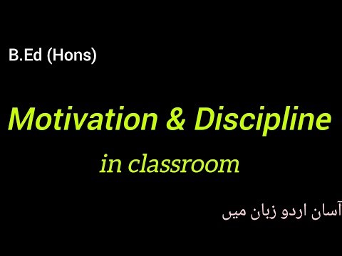 Motivation & Discipline: The Secret to a Successful Classroom!