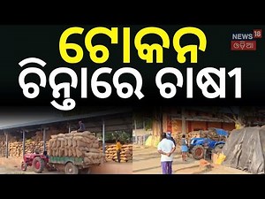ଟୋକନ ଚିନ୍ତାରେ ଚାଷୀ। Odisha। Bargarh। Farmer Problem। Mohan Majhi। Odia News