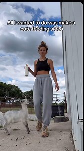 I can’t have anything | Alexa Freemyer