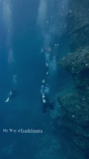 Diving Molokini’s INSANE Back Wall Drop Off - 350ft Vertical Abyss in Maui 🌊 Explored one of Hawaii’s most legendary dive sites - the back wall at Molokini Crater. This sheer vertical drop plunges over 350 feet into the deep blue, with massive pelagics cruising the wall, vibrant coral formations, and that incredible moment when you peer over the edge into the abyss. The currents were wild, visibility was 150 feet, and we spotted white tip reef sharks, eagle rays, and schools of barracuda. Molok