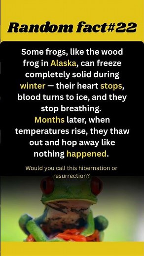 These Frogs Freeze Solid… Then Come Back to Life 😳❄️