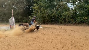 16K views · 113 reactions | We’re both completely fine! Her toe caught in the sand and she couldn’t recover. Caption and video @adair.eq Make sure to follow us @horseloversfails for more fails No hate tolerated!! #horselovers #horsefails #horsefail #horseridingfail #horseridingfails #horses #horseofinstagram #jumping #horsejumping | HorseLovers Fails | Facebook
