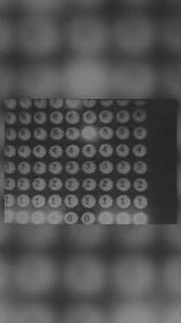 From the Archives: ENIAC, the World's First Electronic Computer