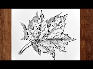 Realistic Maple Leaf Drawing | Step by Step Easy Shading Pencil Sketch for Beginners