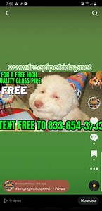 #glassbowl #bowl #710community #710dabs #710life #710daily #420life #420daily #420community #stoners #stonersociety #weed #terpslurper #volcanee #vono #quartzbanger #bangernails #smokeshop #smokeshops #wholesale #dabbing #dab #quartzterppearls #terppearls #terppearlsforsale #quartzbanger #dabbing #highlife #smokeshop #vapeshop # #willienelson | Freepipefriday.net