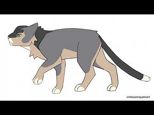 Cat walk cycle - practice animation