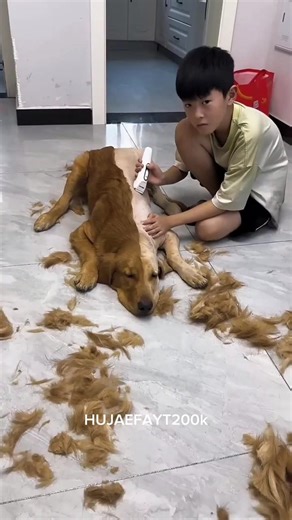 Building Wooden Log Cabin in Forest 🌲❤️ | Survival House Step by Step"2 #shorts #shortsvideo