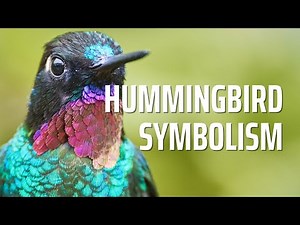 Hummingbird Symbolism