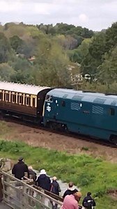 1.8K views · 47 reactions | Warship Class Locomotives – Power, Speed...