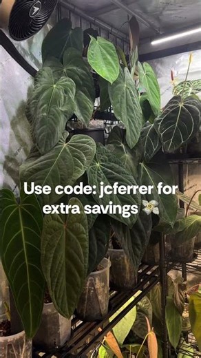 My Go-To Grow Setup Is on Sale — Stackable Discount Codes Included