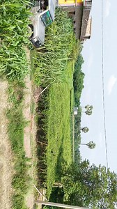 30K views · 441 reactions | Convert day footage into night using After Effect #samastipur #vfx #aftereffect #EditingChallenge | Krishna Sahani | Facebook