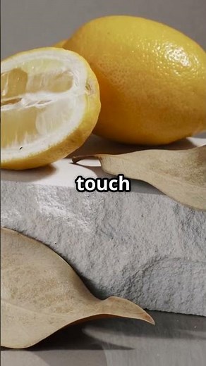 Power a Light Bulb with a Lemon!