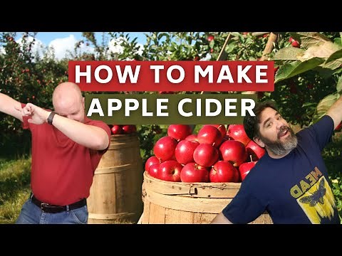How to Make Apple Cider - The Easiest Way To Make Cider At Home