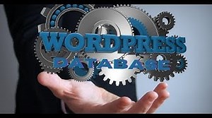 How to know database name of a WordPress site and download db ...