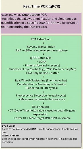 PCR, RT-PCR, Real Time PCR #Biology #biologyrevision#notes#Molecular Biology