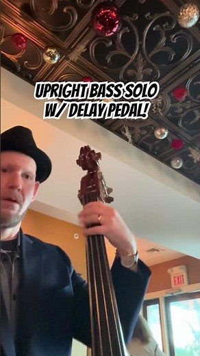 Upright Bass Solo w/ Delay Pedal - Lawrence Haber #uprightbass #jazz #livemusic