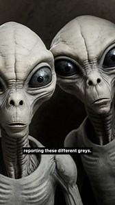 4.1K views · 145 reactions | Linda Moulton Howe shares her decades of research and direct experience with whistleblowers revealing US government involvement with ETs and #UAP. Watch the full interview of Into the Vortex by tapping the link in our bio. ⁠ . ⁠ . ⁠ . ⁠ #ufo #aliens #alienencounters #ufosightings | Unexplained on Gaia | Facebook