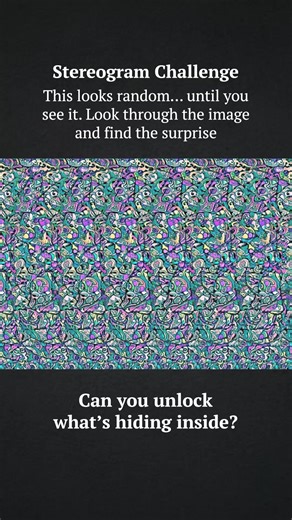 Stereogram Challenge - Find The Secret Shape | Hungry Panda