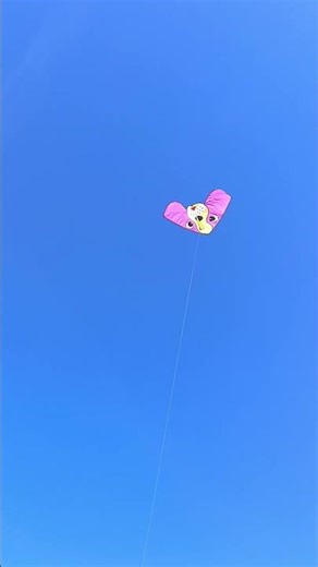 Hoy hace día para volar la cometa #pascua #dominguero #domingo #kite #cometa #ladybirdwild