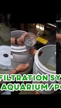 3 Chamber DIY Filtration System for Aquarium and ponds
