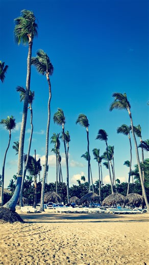 Luminar Neo by Skylum | AI-powered photo editor on Instagram: "What if Luminar went back to 2016? The tones, the mood, the signature look we all remember 📱 Using Luminar Mobile, we recreated that iconic 2016-style edit. Here’s how it turned out! #madewithluminar #2016 #backto2016"