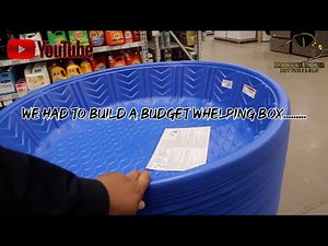 HOW TO MAKE A WHELPING BOX ON A BUDGET
