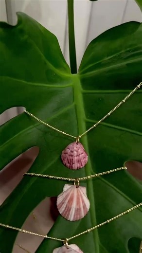 Calico Shell Necklace: Sanibel Island Jewelry, Gold-plated Chain - Etsy