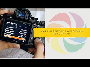 Tutorial Sony A7II Indonesia : Cara Setting Eye Autofokus Kamera Sony A7II