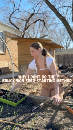 Breanna Ellis on Instagram: "This is the main comment and message Ive received over the last few years when I stopped doing a bulk onion seed starting method and started to individually sow them into single soil blocks! When I decided to start doing this 3 years ago it was something I noticed huge differences in my onions and how much easier it was to plant them out!! Not only that my harvests the last 3 years with this method have been GAMECHANGER! This is my 6th year growing onions and my 9th