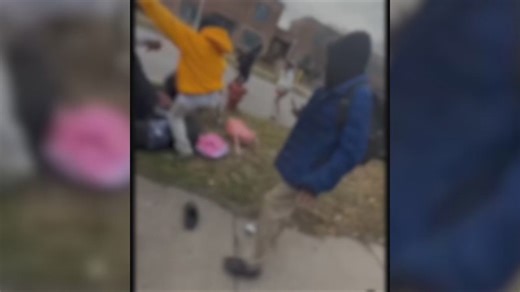 Video shows mom, children being jumped by students outside Chicago-area school