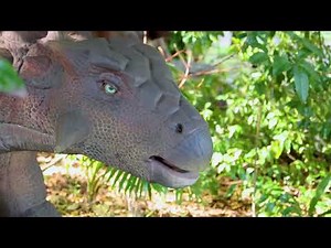 Dinosaurs Fossils and Discoveries