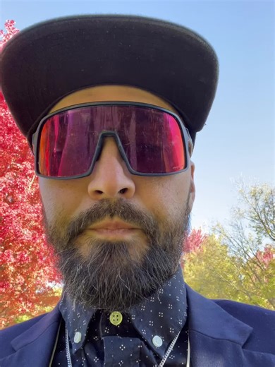 Swamp White Oak (Quercus bicolor)