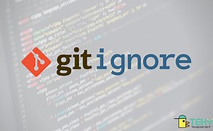 Gitignore File là gì? Đặc điểm và cách thức sử dụng ra sao?
