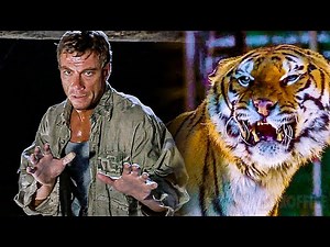 Jean Claude Van Damme fights a tiger in a minefield