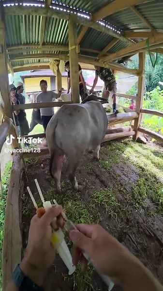 #vaccination #vaccine #fypシ゚viral