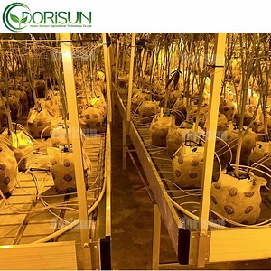 [Hot Item] Growing Systems Movable Rolling Nursery Bench Rolling Bench Grow Table for Letters Grow Table Rolling Benches