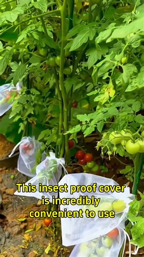 Anti-insect mesh bags can protect your harvest #farming #garden #gardeningtips #gardentools #planting #harvest #gardening | Sam Green
