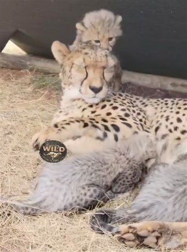 768K views · 10K reactions | Mother of the year! Just wanted to share...