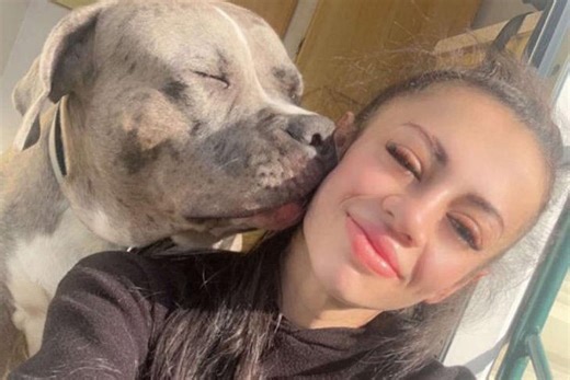 XL Bully owner sentenced after trying to expose marksmen who shot dead her dog