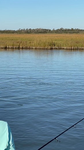 52K views · 678 reactions | Watch Theresa sight cast this school of redfish! Piscifun tys code - ty18 Casting by Faith Fishing Blue Wave Tackle | 30milesOUT fish'n TV | Facebook