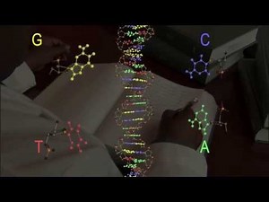 The Amazing Structure of DNA Information Made Simple ~ An Animated Guide