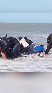 3.1M views · 63K reactions | Rescue Orca | Orca Lovers | Facebook