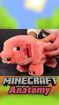 Anatomy of a Minecraft Pig 🐷
