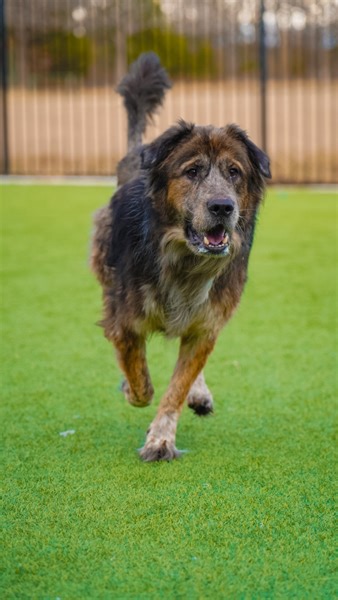 36K views · 9.4K reactions | Anakin Revenge Tour is officially a go!...